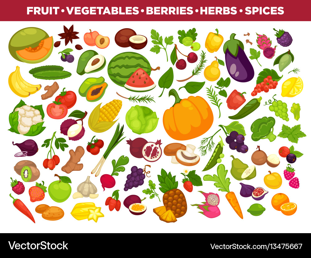 Fruits vegetables berries and spices Royalty Free Vector
