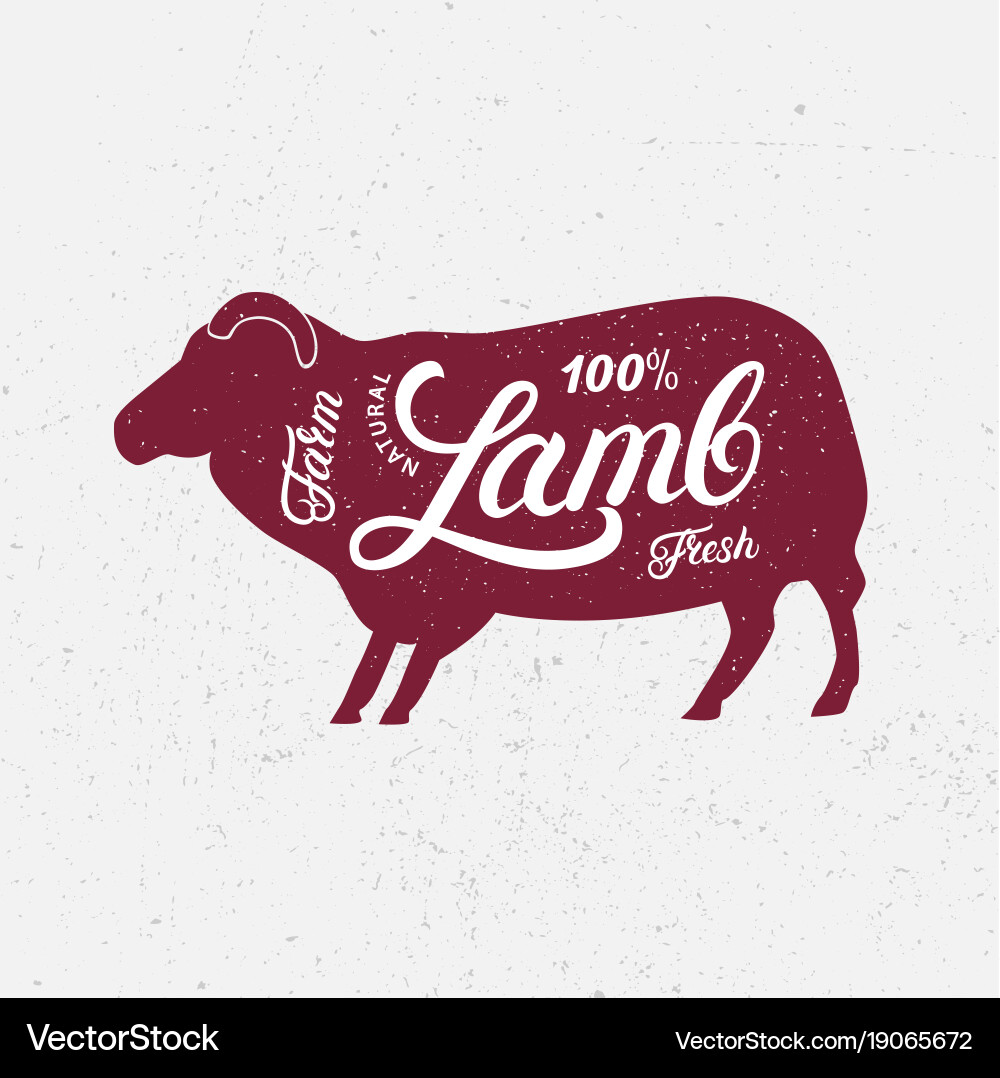 Sheep ram silhouette and hand written lettering Vector Image