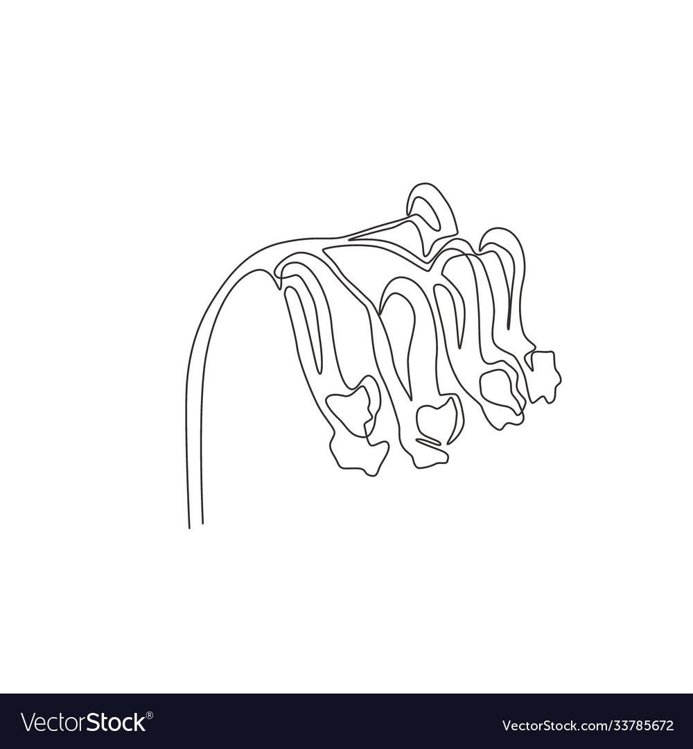 Single One Line Drawing Beauty Fresh Corydalis Vector Image