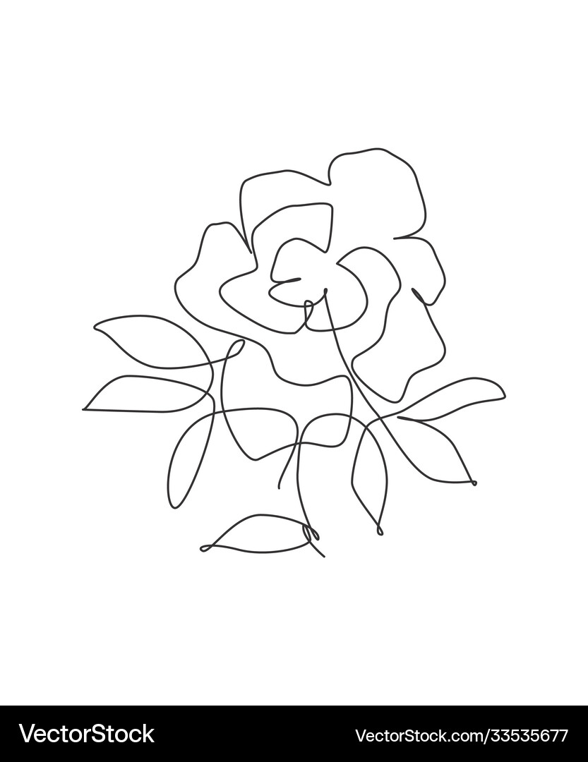 One single line drawing beauty rose flower Vector Image