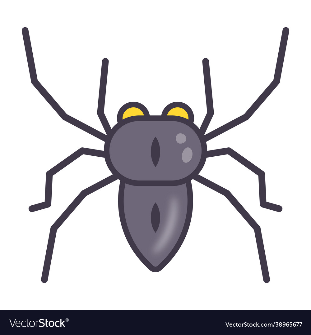 Spider Royalty Free Vector Image - VectorStock