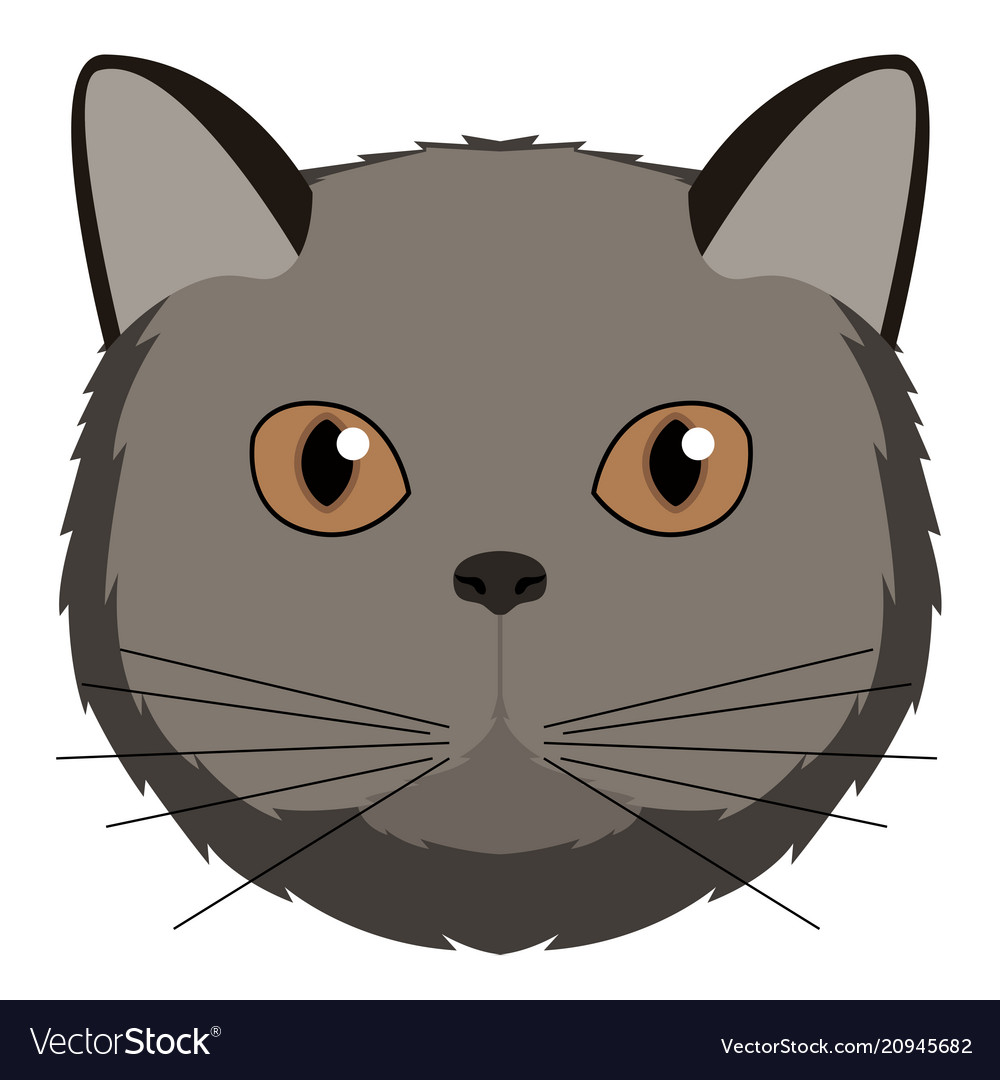 Nebelung cat avatar breeds Royalty Free Vector Image