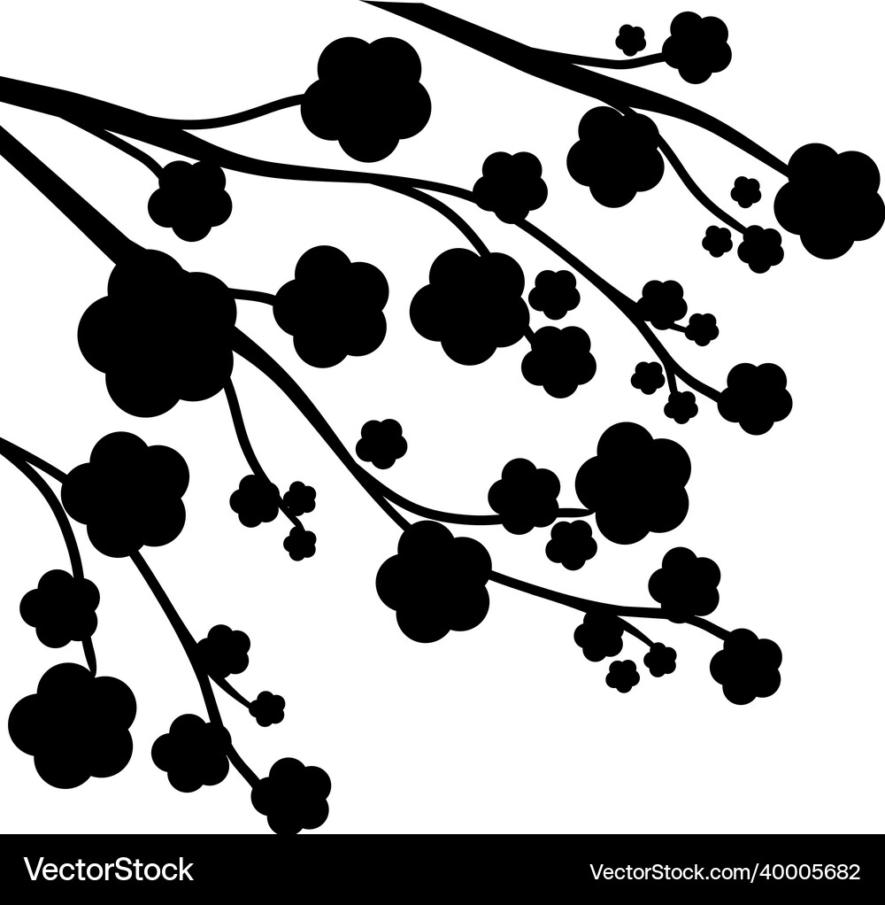 Silhouette sakura plant branches with flowers Vector Image