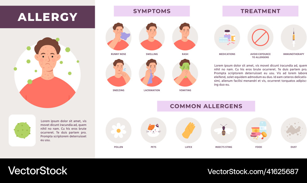 Allergy infographic with symptoms treatment Vector Image