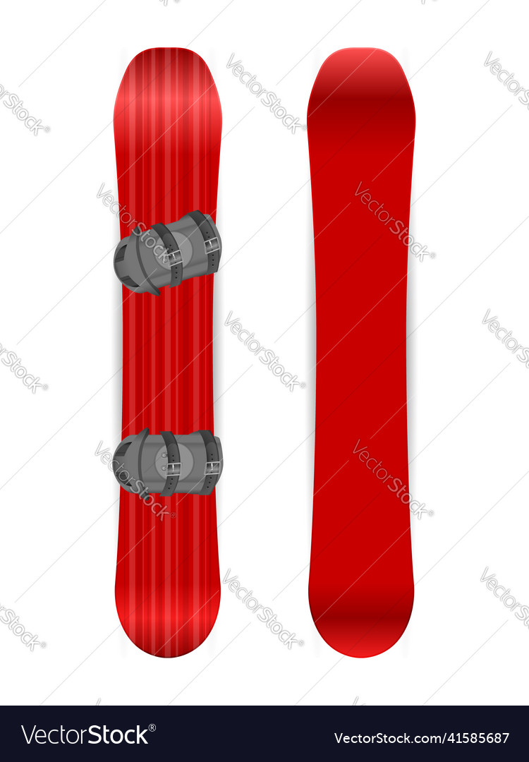 Snowboard board Royalty Free Vector Image - VectorStock