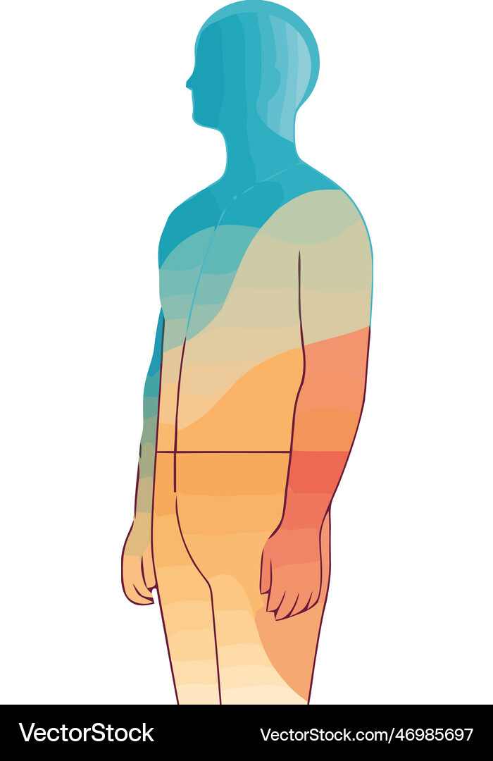 Colored male figure character Royalty Free Vector Image