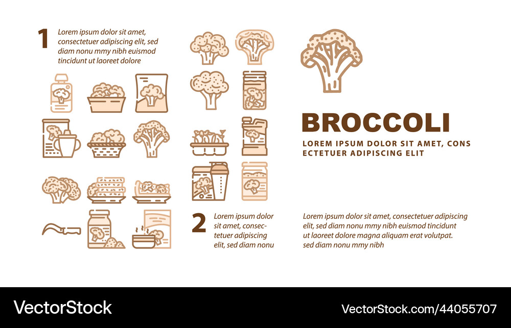 Broccoli vegetable green food landing header Vector Image