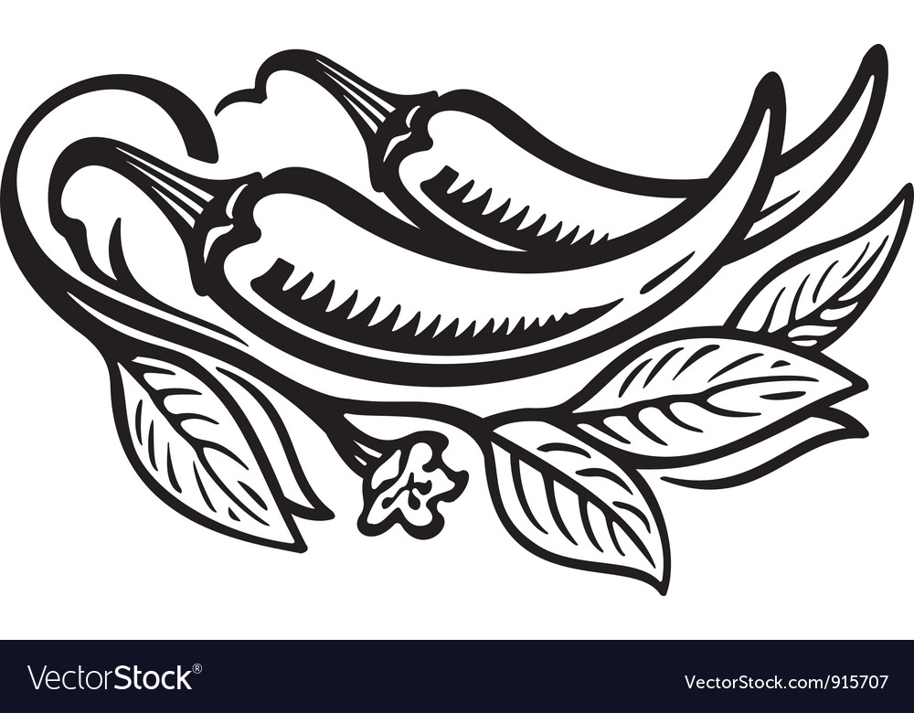 Pepper Royalty Free Vector Image - VectorStock