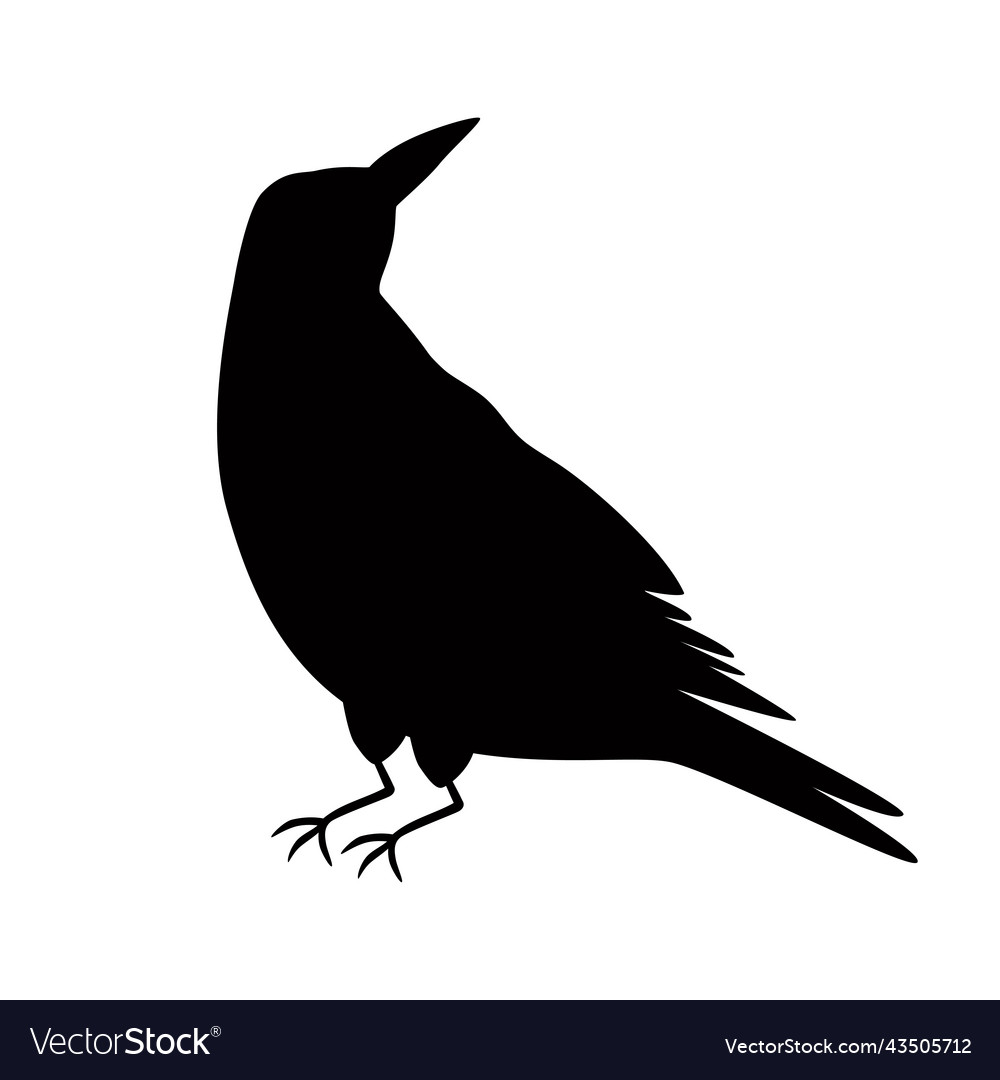 Halloween crow black raven bird isolated on white Vector Image