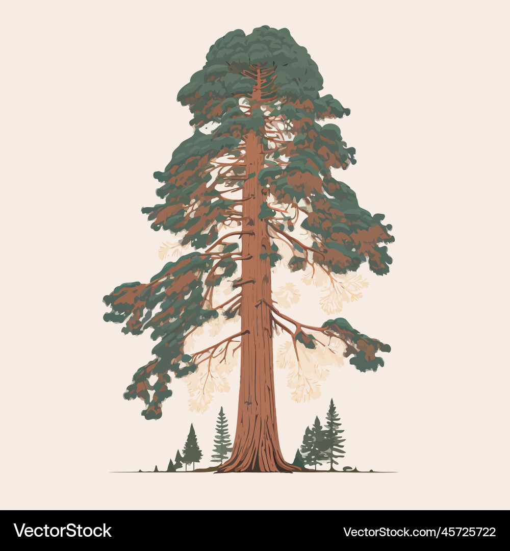 Giant Sequoia Tree Drawing