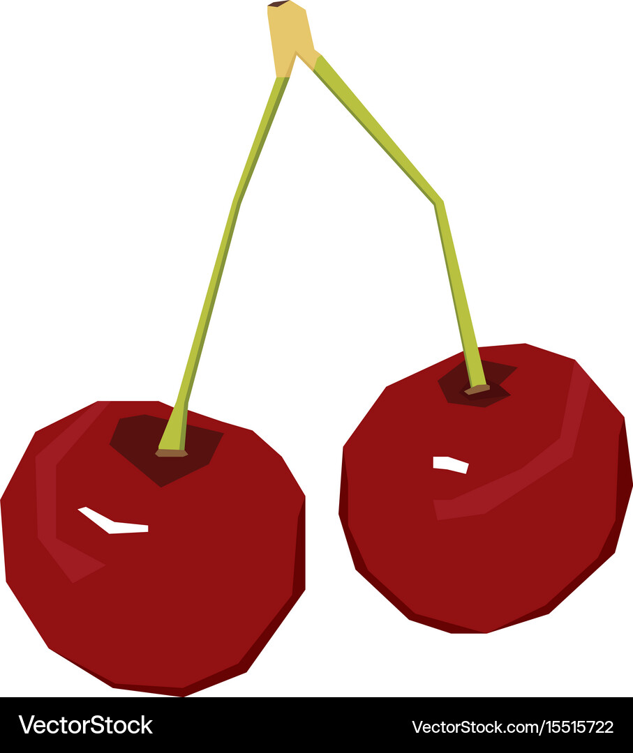 Isolated pair of cherries Royalty Free Vector Image