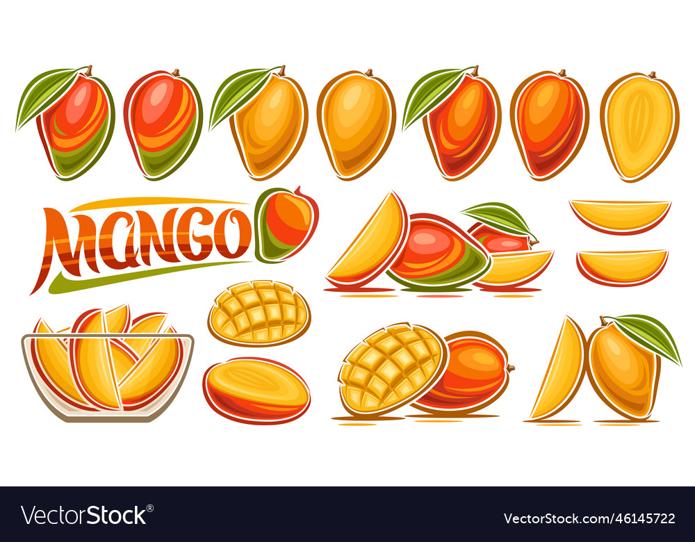 Mango set Royalty Free Vector Image - VectorStock