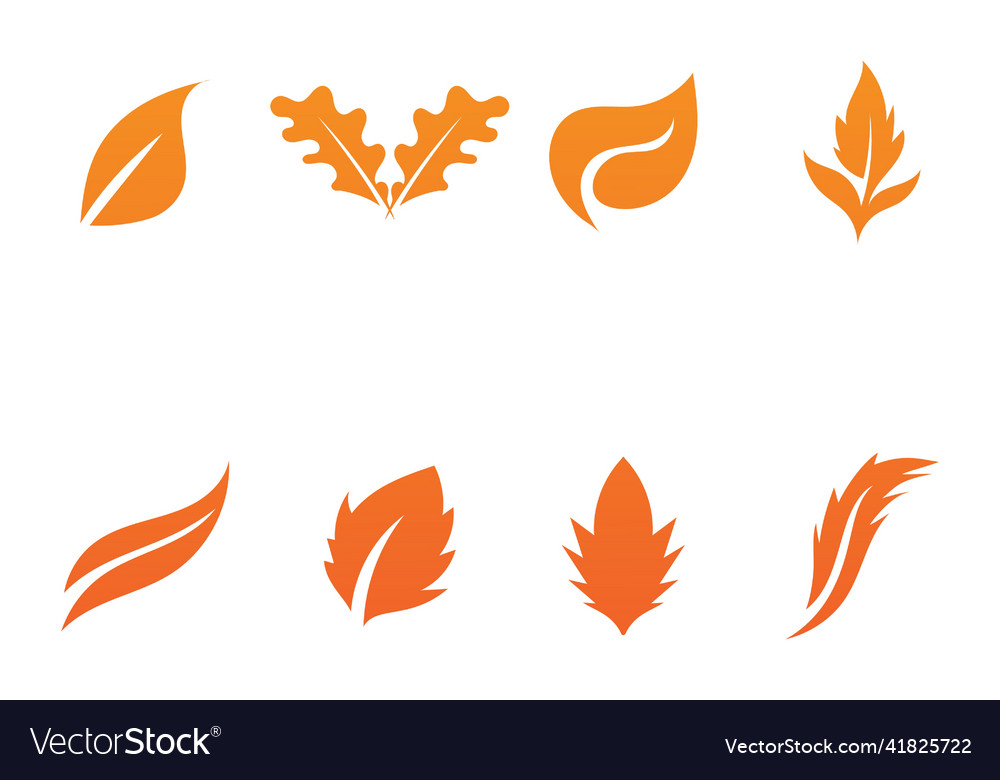 Maple leaf Royalty Free Vector Image - VectorStock