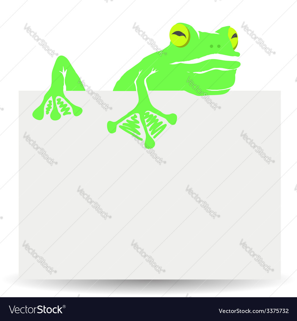 Green frog Royalty Free Vector Image - VectorStock