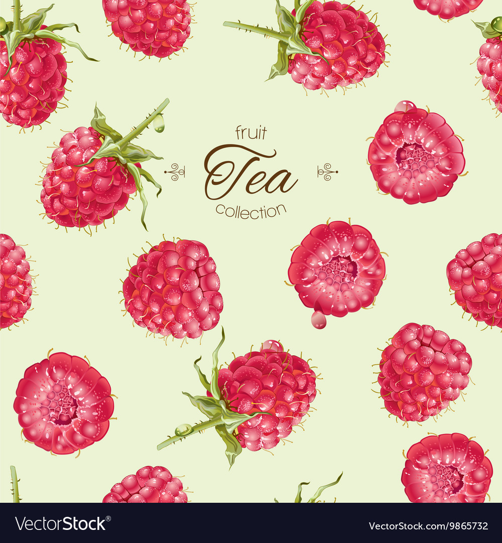 Raspberry tea seamless pattern Royalty Free Vector Image