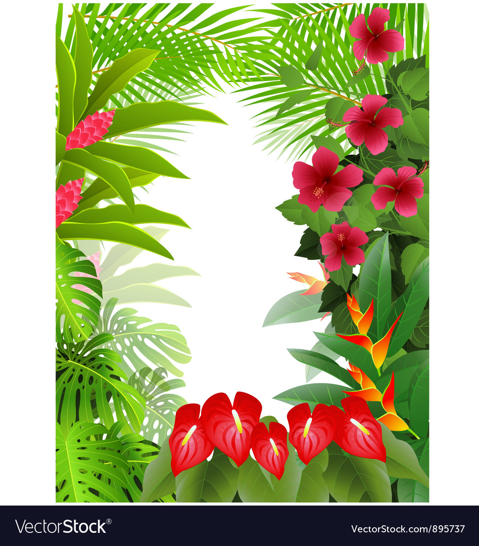 Tropical forest background Royalty Free Vector Image