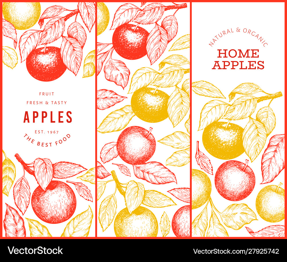 Apple branch design template hand drawn garden Vector Image