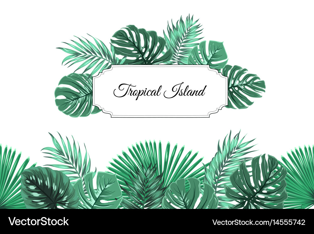 Tropical jungle island border frame header footer Vector Image