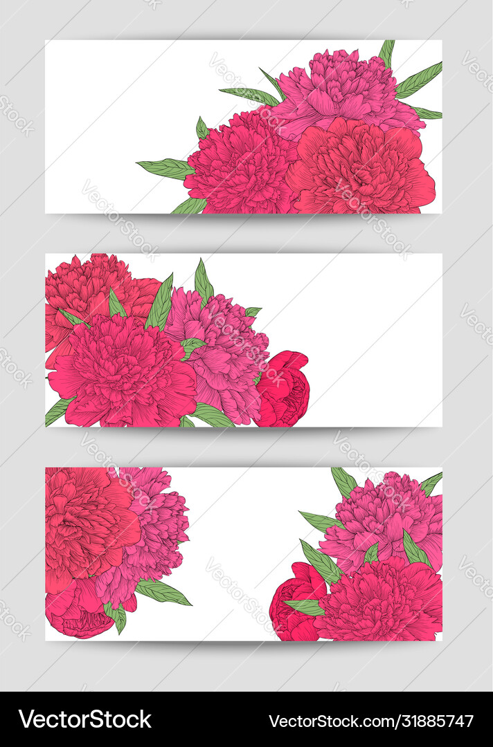 Beautiful set horizontal banners with flowers Vector Image