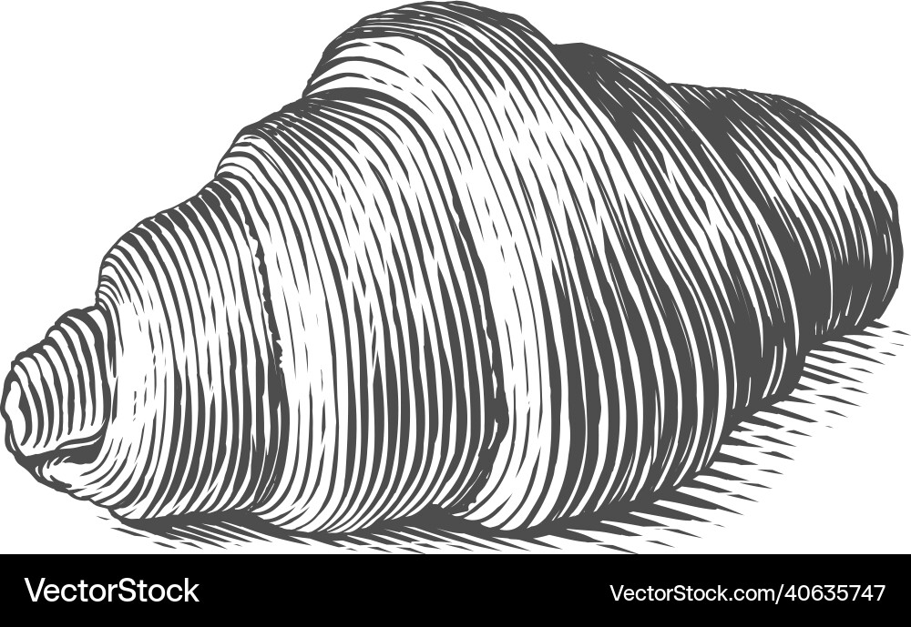 Croissant hand drawn drawing engraving retro style