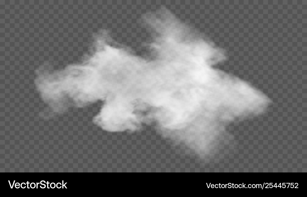 Transparent special effect stands out with fog Vector Image