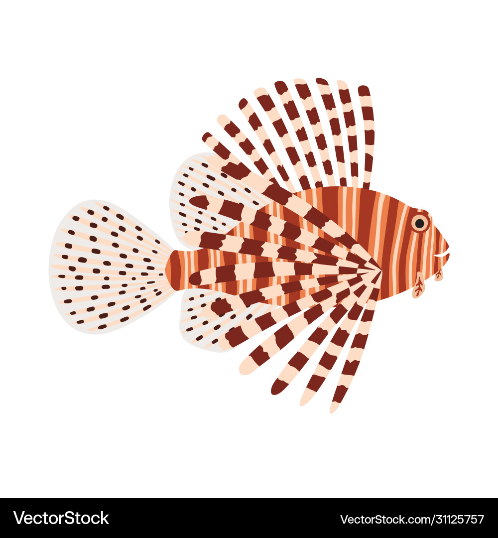 A lionfish tropical exotic fish Royalty Free Vector Image