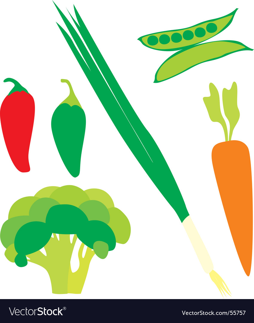 Vegetables Royalty Free Vector Image - VectorStock
