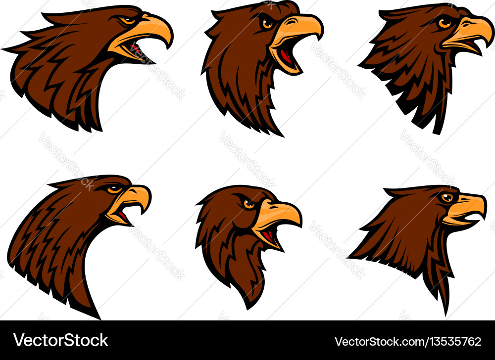 Hawk heraldic mascot icons set Royalty Free Vector Image