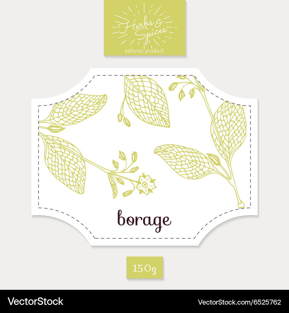 Product sticker with hand drawn borage leaves Vector Image