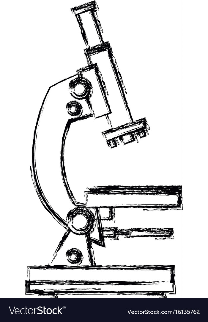 School microscope study science laboratory Vector Image