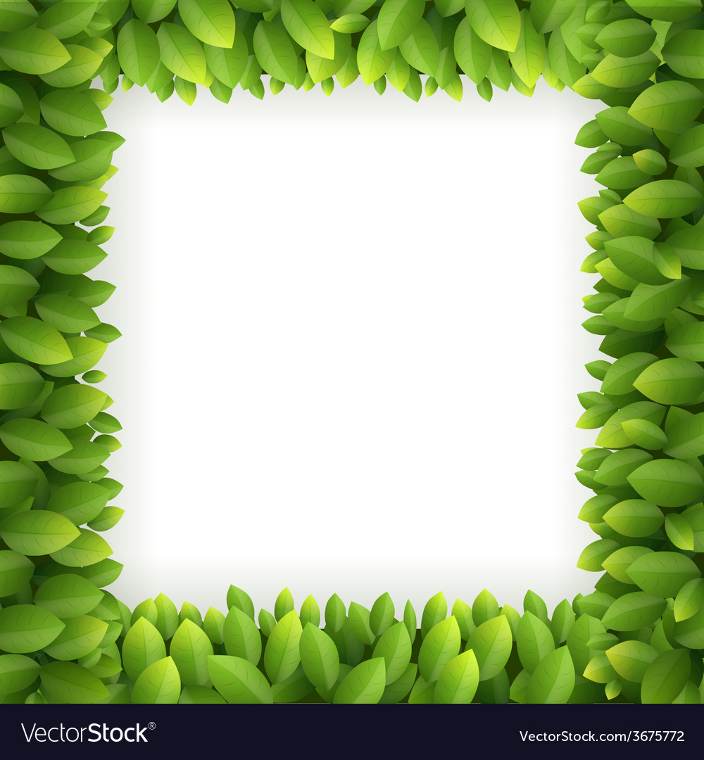 Leaves frame Royalty Free Vector Image - VectorStock