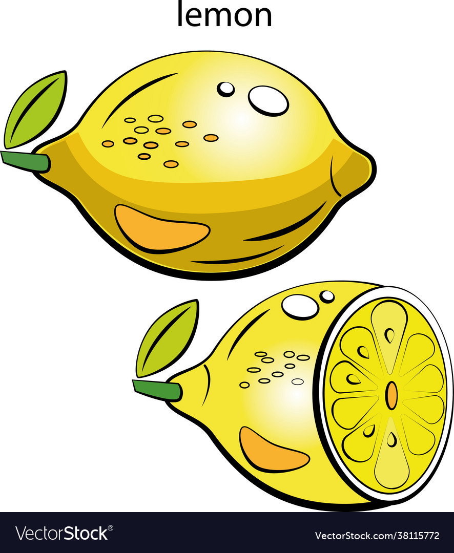 Lemon Royalty Free Vector Image - VectorStock