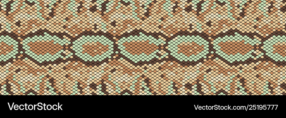 Snakeskin seamless pattern realistic texture of Vector Image