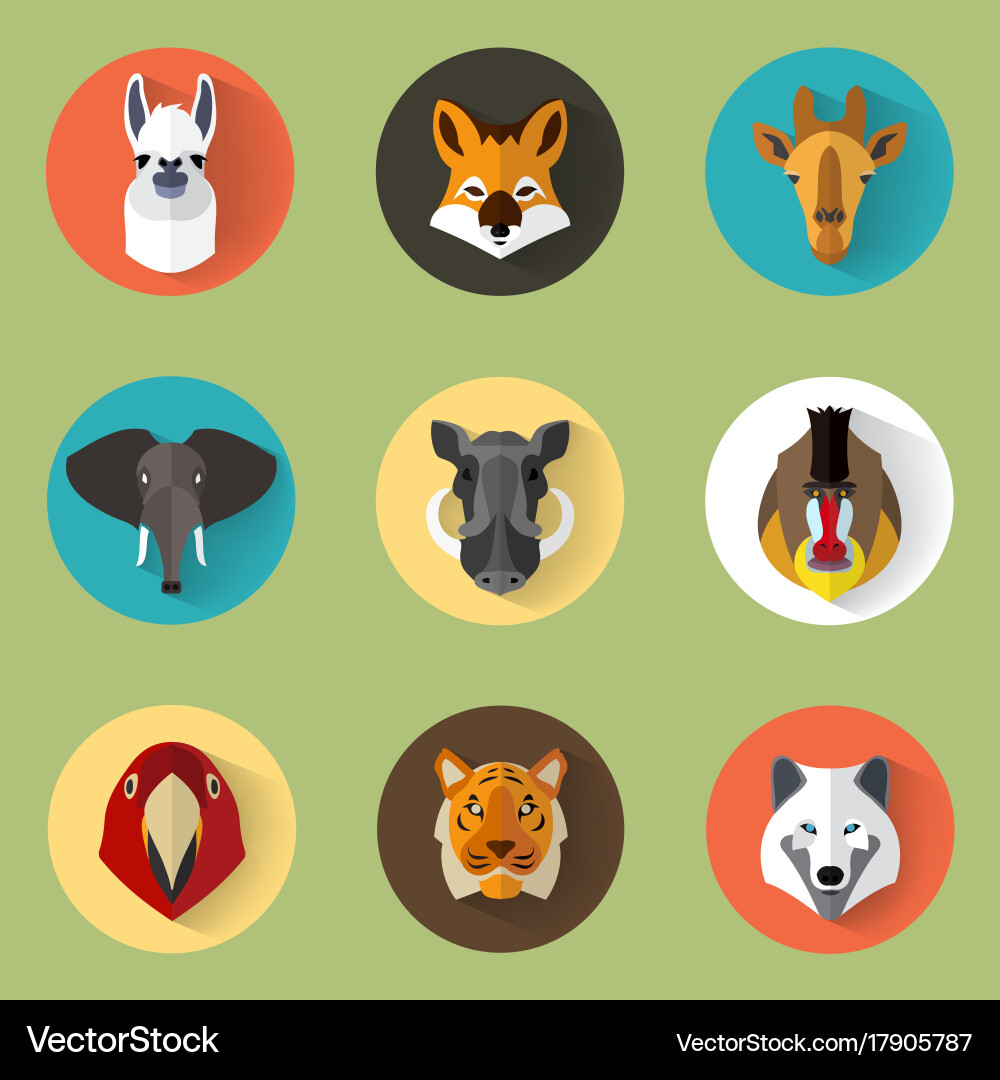 Animal portraits with flat design Royalty Free Vector Image