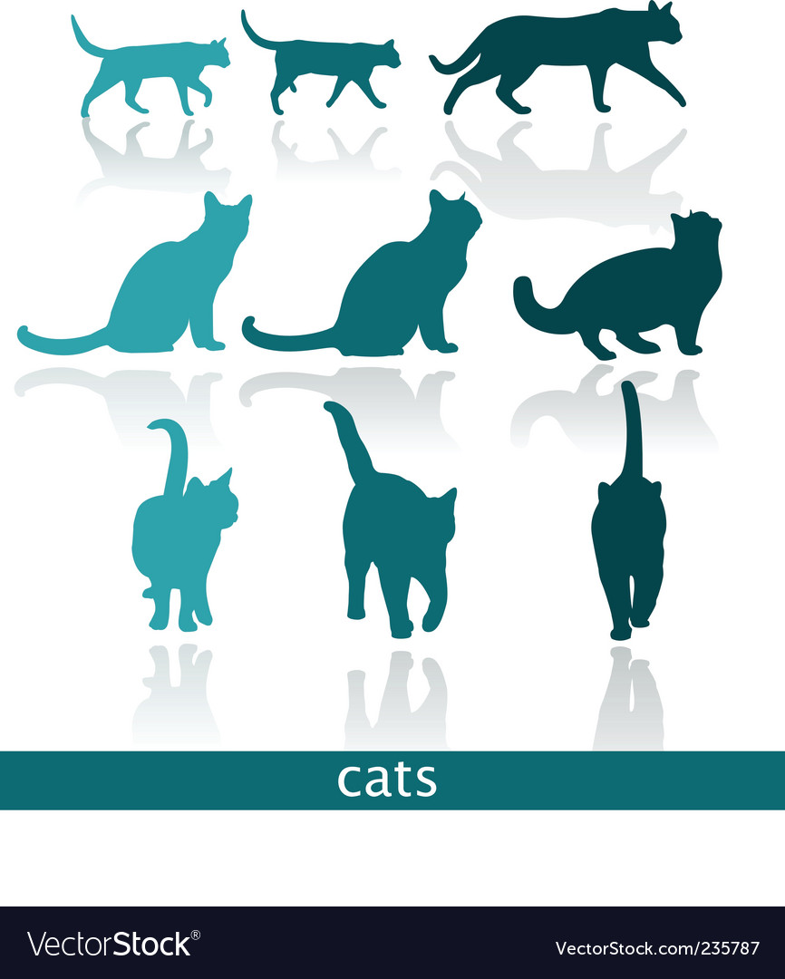 Cats Royalty Free Vector Image - VectorStock