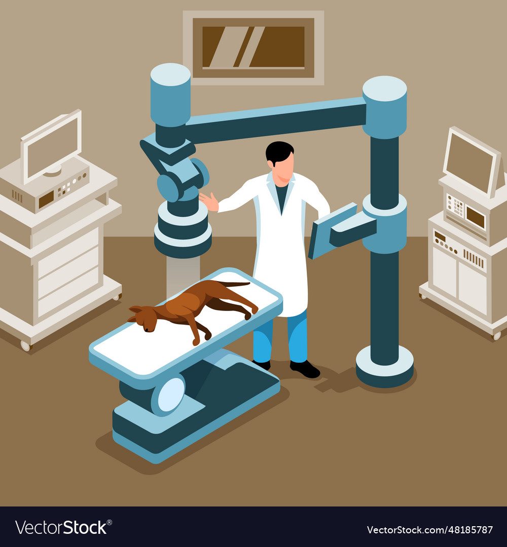 Isometric veterinary Royalty Free Vector Image