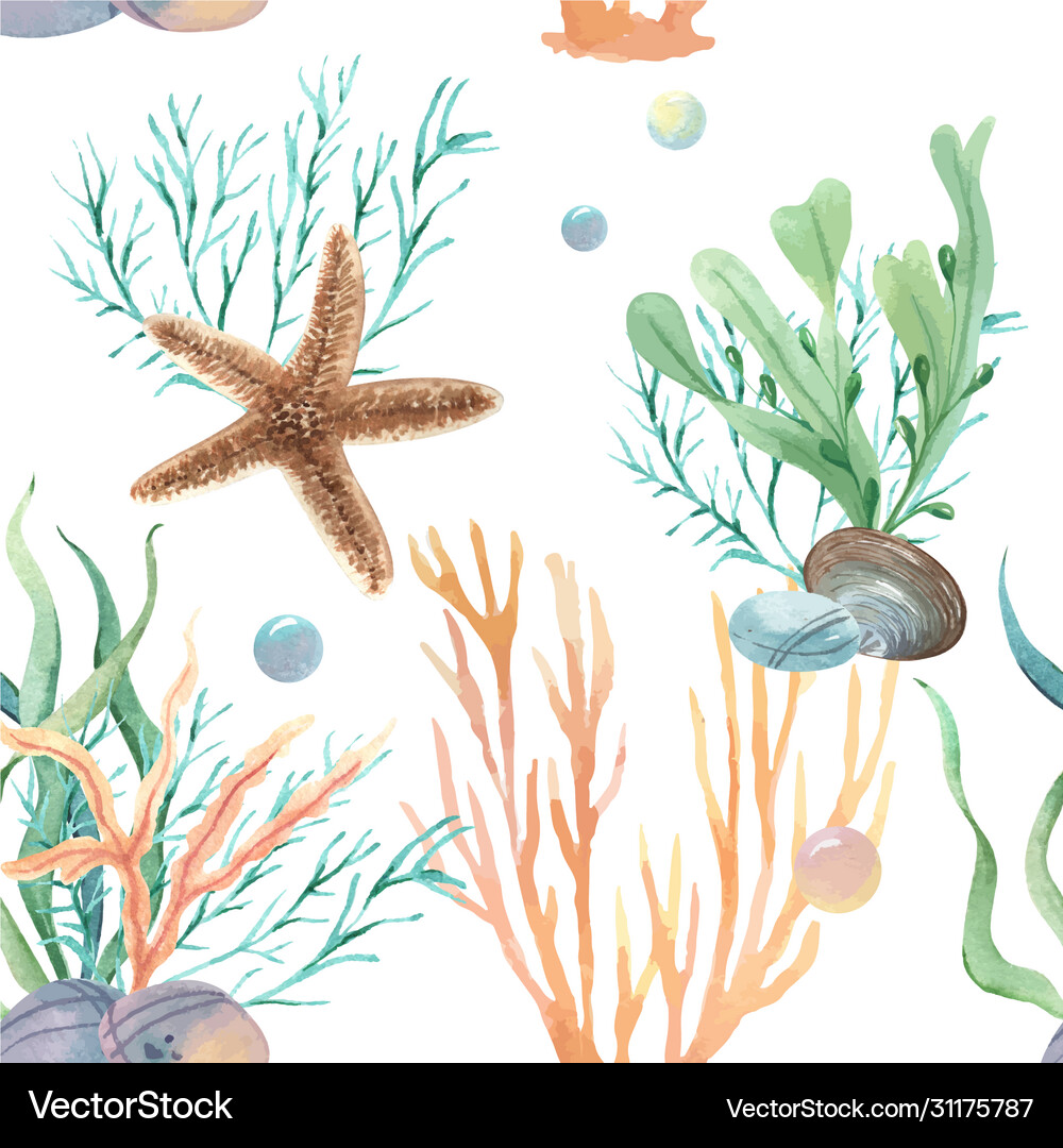 Sea shell marine life pattern seamless travel Vector Image