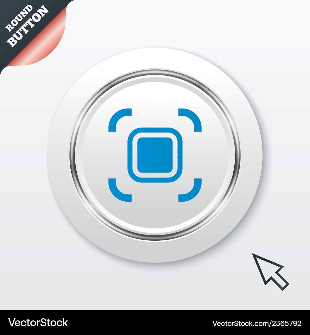 Autofocus zone sign icon photo camera settings Vector Image