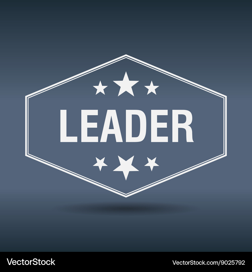 Leader hexagonal white vintage retro style label Vector Image