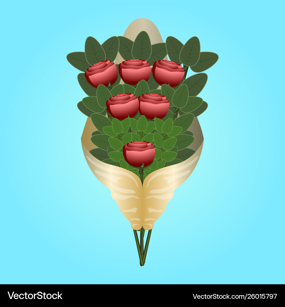 Red roses bouquet on a colored background Vector Image