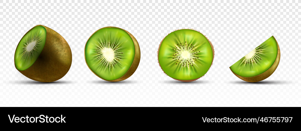 Set of kiwi Royalty Free Vector Image - VectorStock