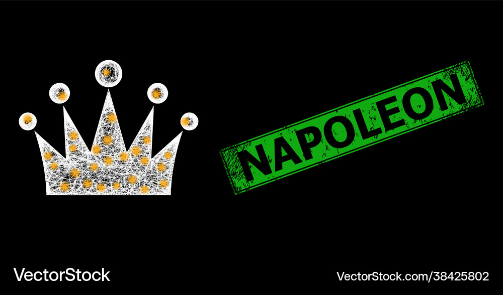 Distress napoleon imprint and net crown mesh Vector Image
