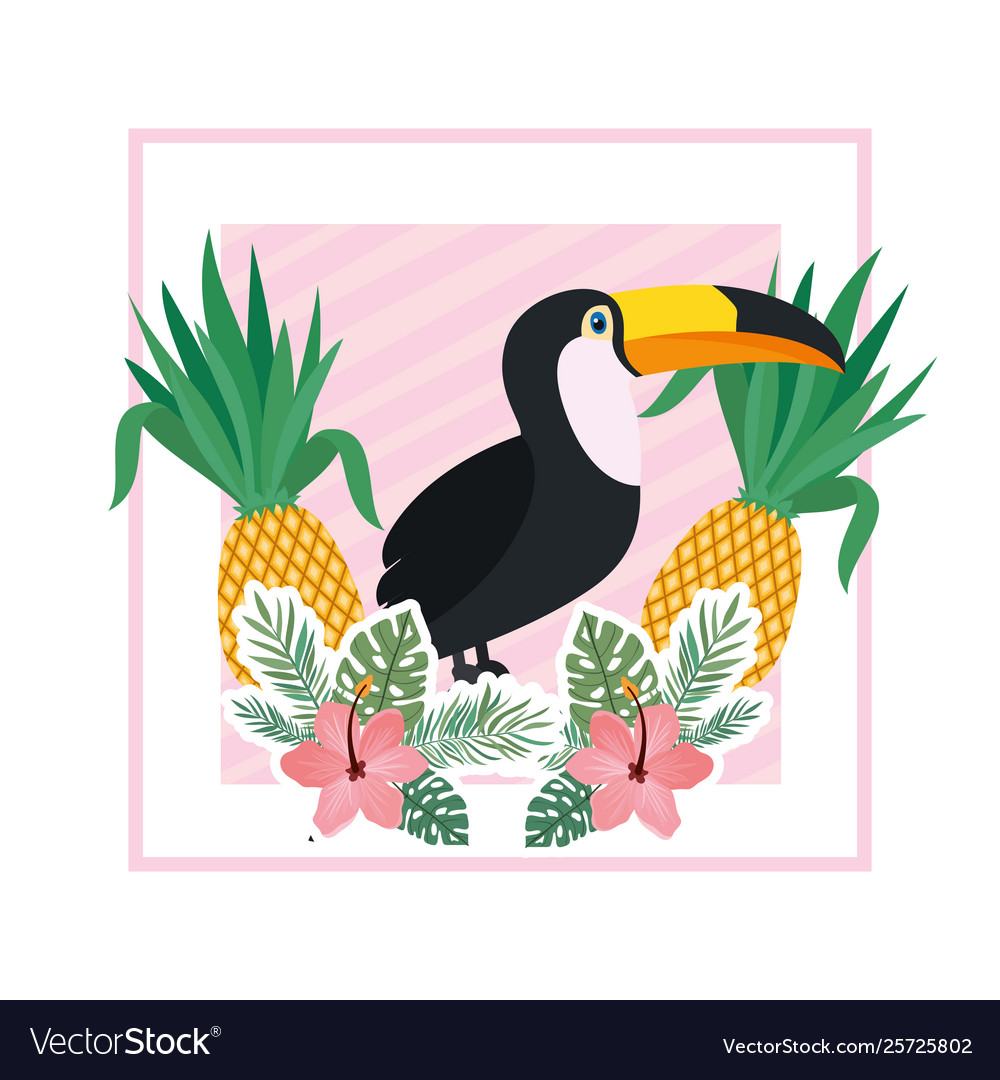 Pattern toucan and summer flower Royalty Free Vector Image