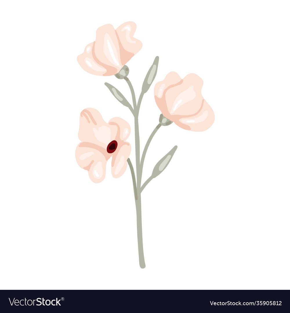 Pastel flowers hand drawn elegance boho style Vector Image