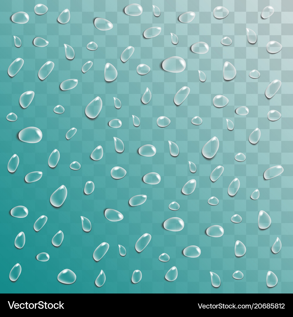 Transparent and realistic water droplets Vector Image