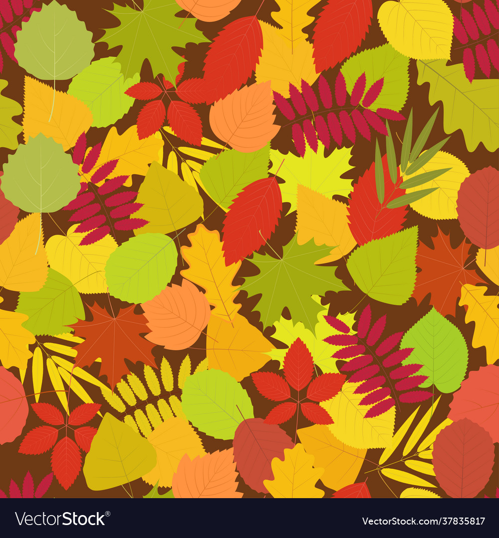 Autumn leaf seamless pattern from leaves Vector Image Autumn leaf seamless pattern from leaves Vector Image