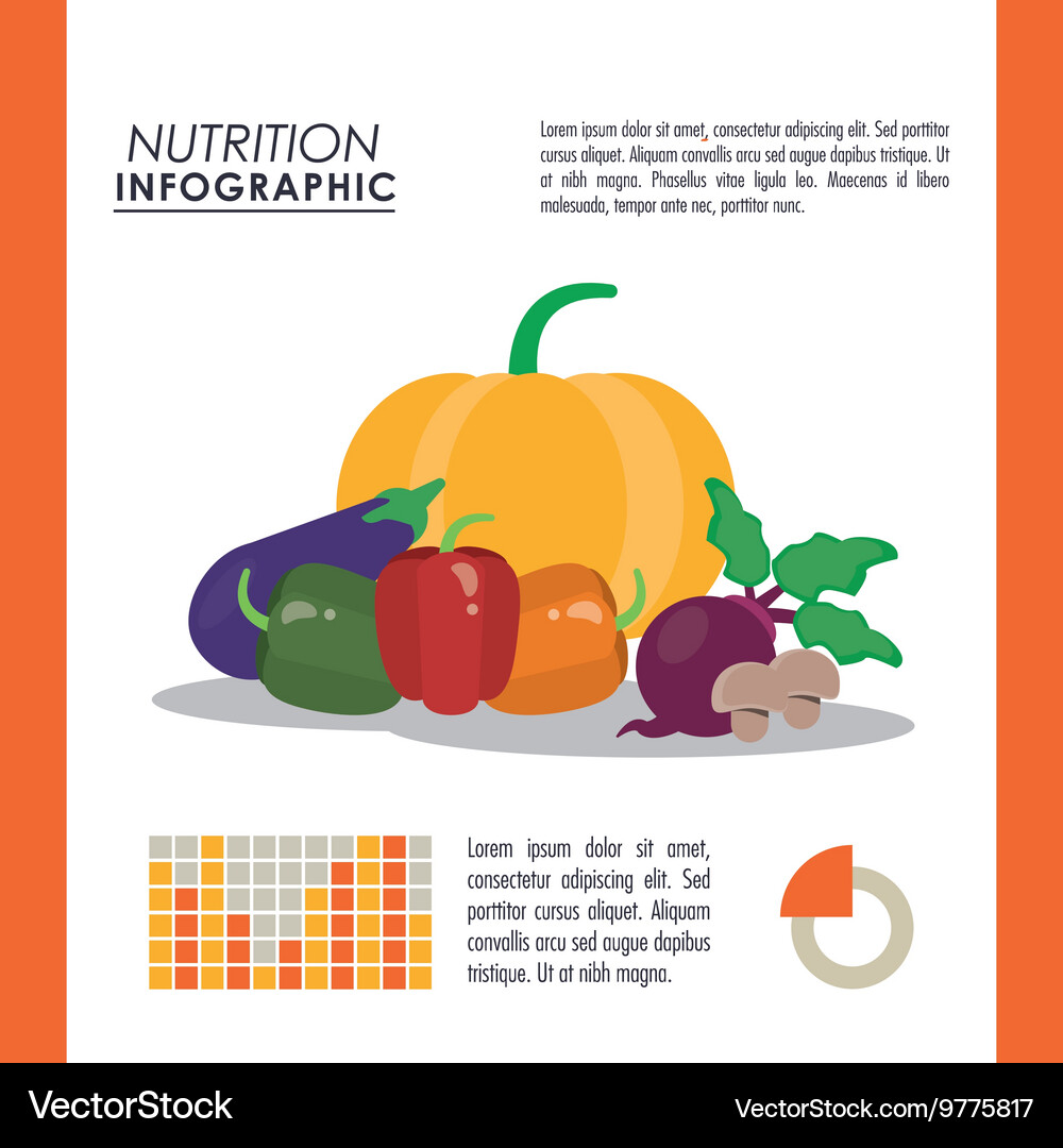 Infographic icon nutrition design graphic Vector Image