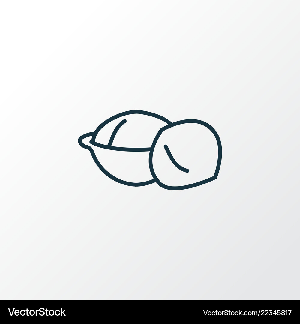 Macadamia icon line symbol premium quality Vector Image
