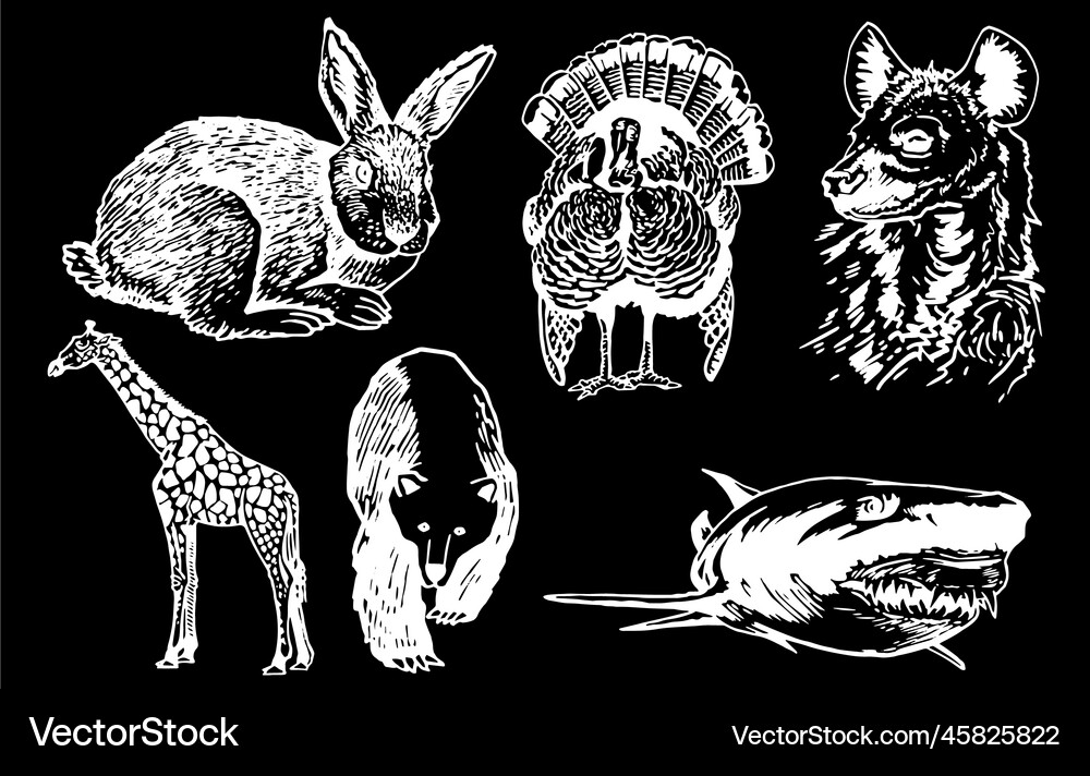 Graphical set of animals isolated on black Vector Image