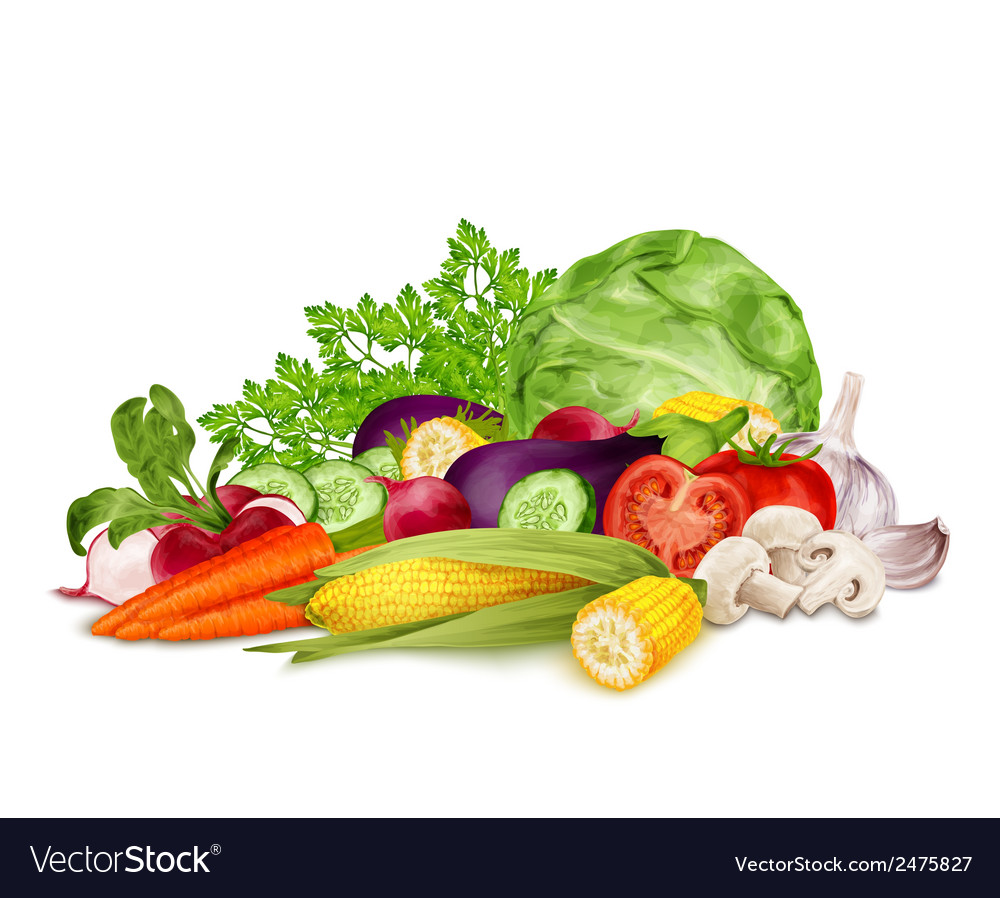 Fresh vegetables on white Royalty Free Vector Image